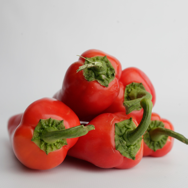 Kırmızı Kapya Biberi - Bi Bakmışsın Kapında - Tarladan Taptaze Sofranızda