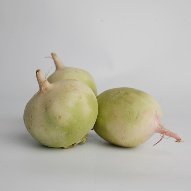 Beyaz Turp(Karpuz Turp) - Bi Bakmışsın Kapında - Tarladan Taptaze Sofranızda